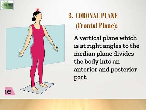 Body Planes and Terms in anatomy By Nishigandha Sadamate MUST for MBBS,BDS, Nursing ,Physiotherapy