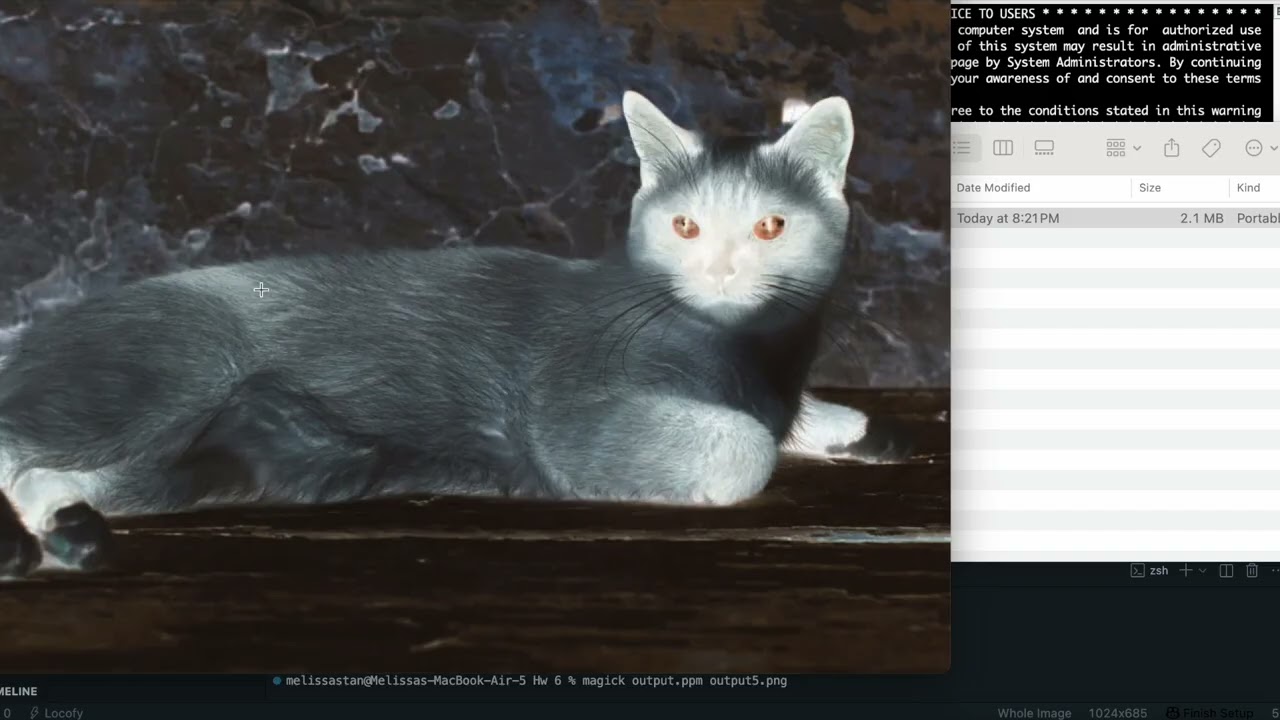 HW6: CUDA Image Processing