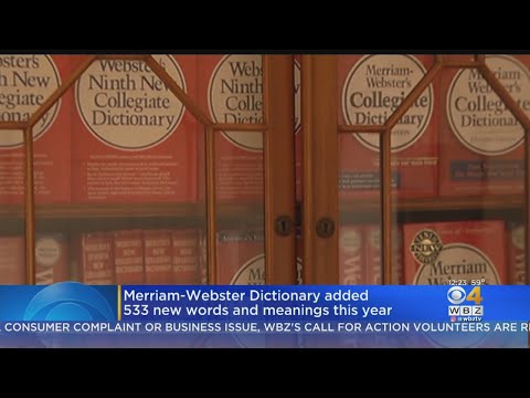 Merriam-Webster Dictionary Added 533 New Words And Meanings This Year