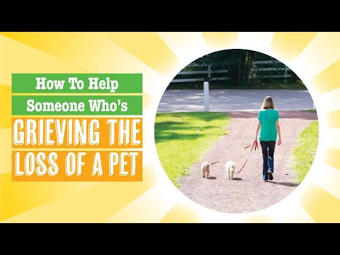 How To Help Someone Who Has Lost a Pet