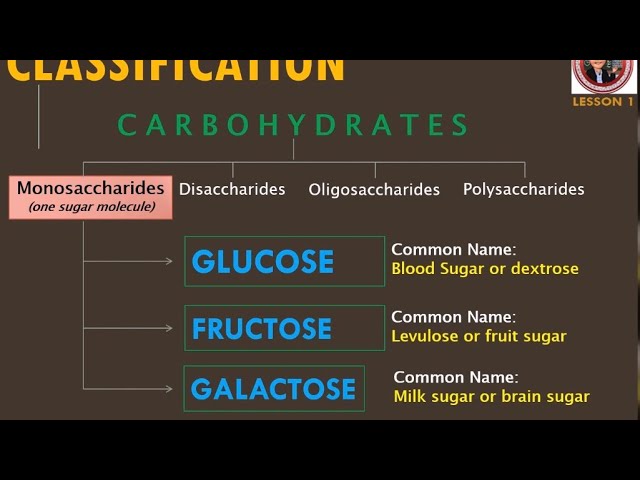 Understanding Carbohydrates: Dehydration Synthesis and Hydrolysis ...