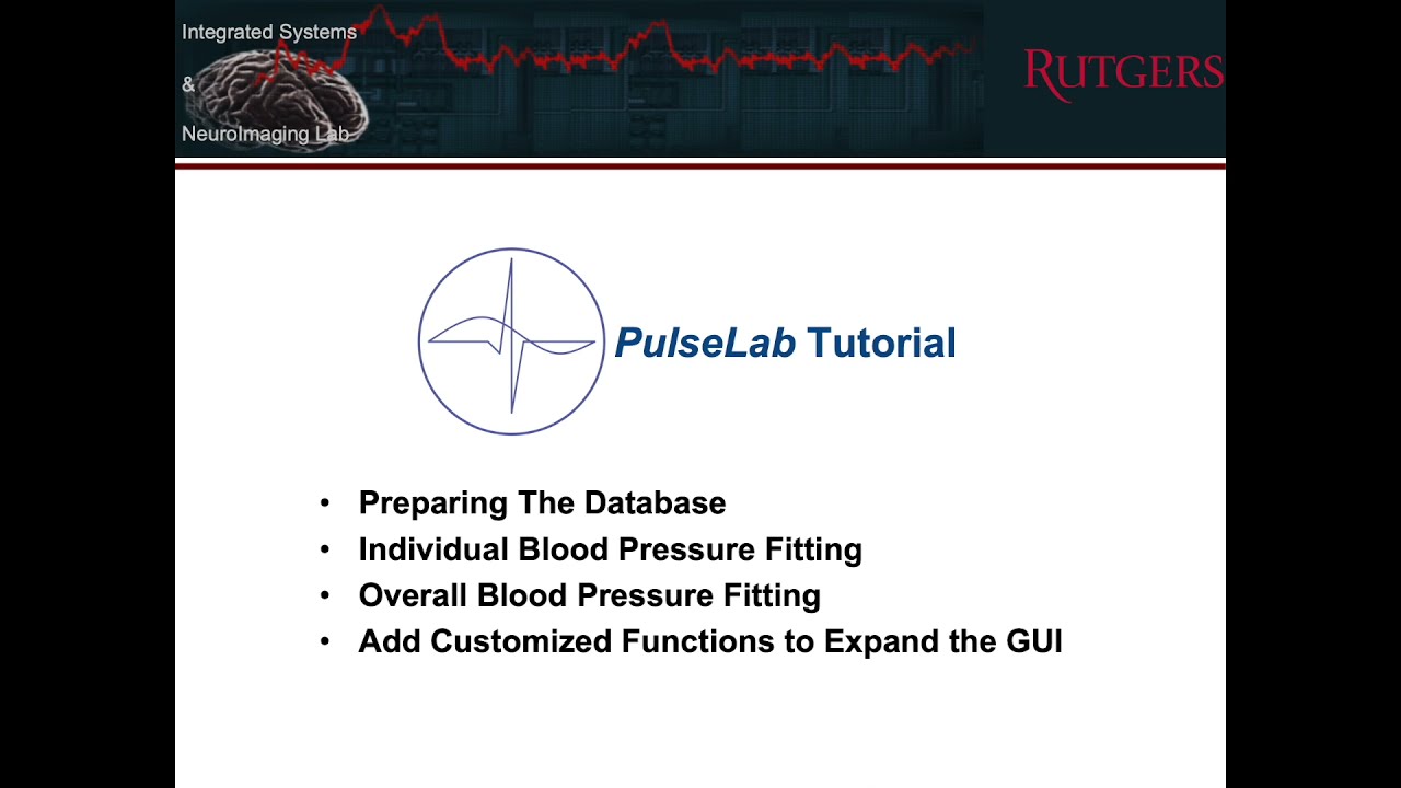 A Tutorial for PulseLab