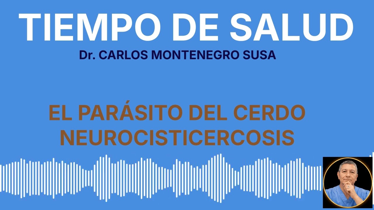 PARASITO DEL CERDO - NEUROCISTICERCOSIA