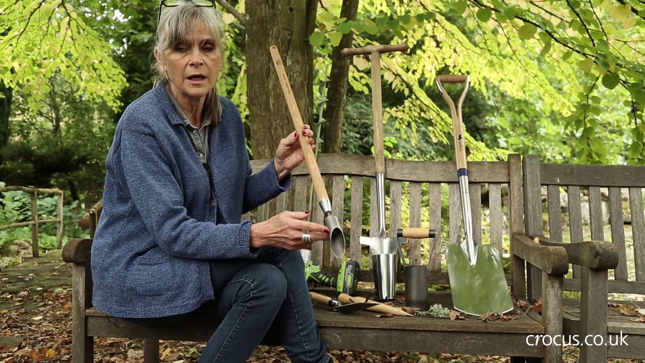 How to choose a bulb planter