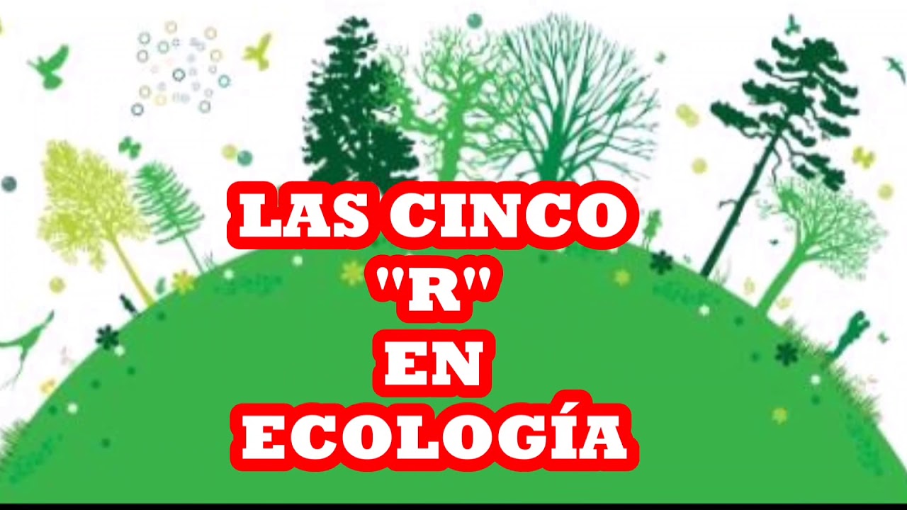 Las 5 
