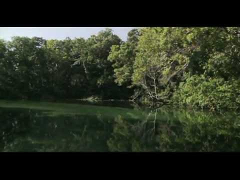 Water 101 -- Who We Are and What We Do