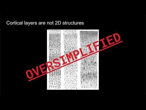 Faruk Gulban: Introduction: Why are we doing layer-fMRI