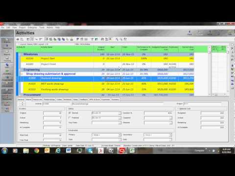 Primavera P6 Tutorial Cost Loading - geekpriority