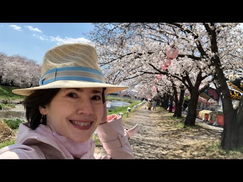 Cherry Blossom Viewing Away from the Crowds | Sakura in Saitama