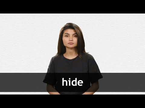 HIDE definition and meaning | Collins English Dictionary