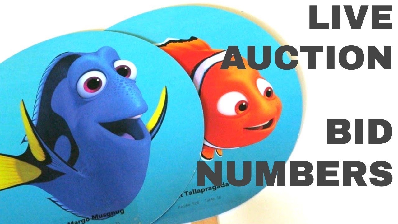 Bid Paddles Ideas: Live Charity Auction Bidding