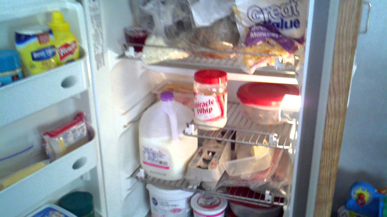 micro homestead micro fridge