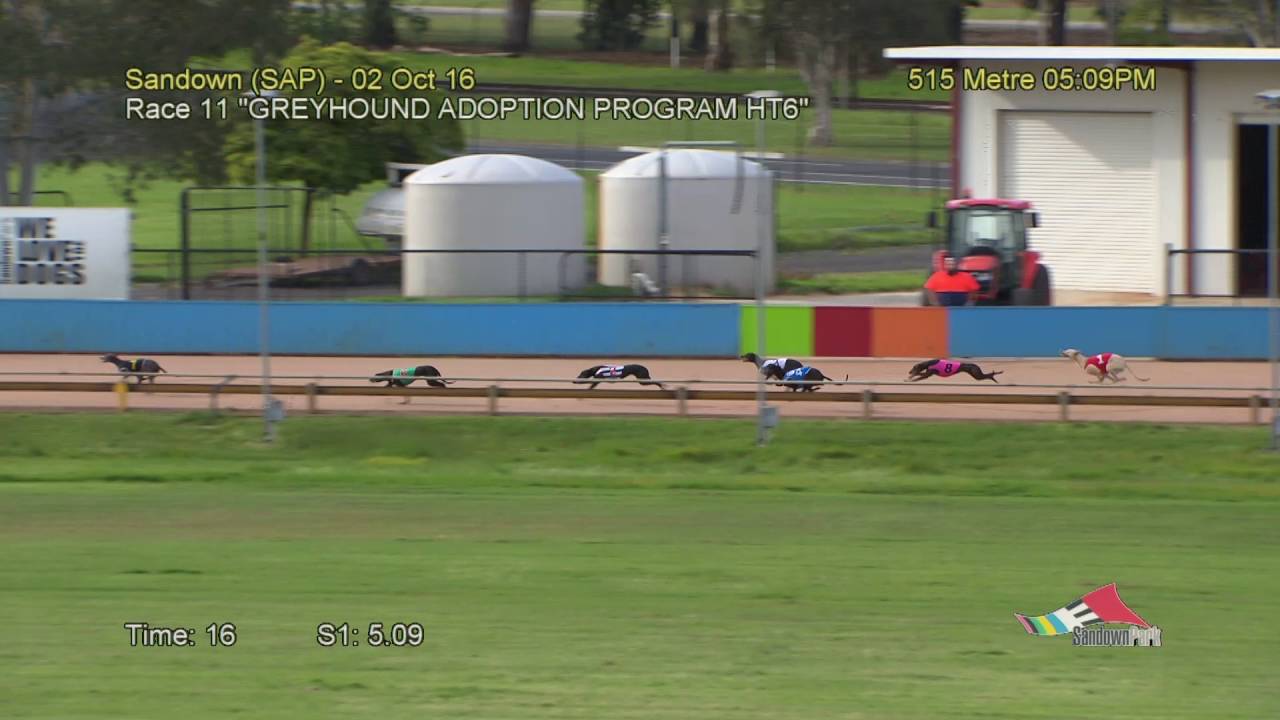 SAP SUN 02 OCT 16 R11