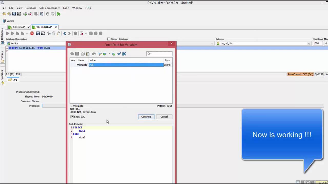 How to use parameters in Dbvisualizer and Vertica