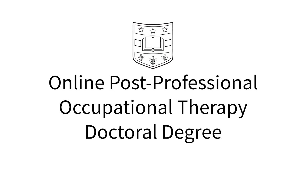 Online PP-OTD Overview