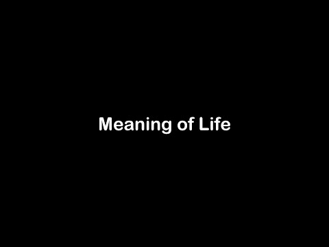 What is the Meaning of Life | Life Meaning with Example