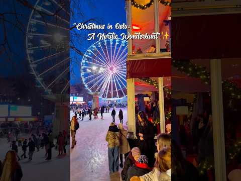 A Norwegian Christmas: peaceful, pure, and filled with light β¨π #oslo #norway #christmas
