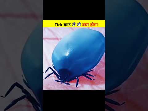 क्या होगा Tick insect काट ले | human body on tick bite #shorts #factrate