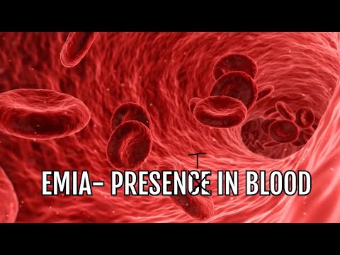 Emia meaning presence in blood but it dapz (reupload)