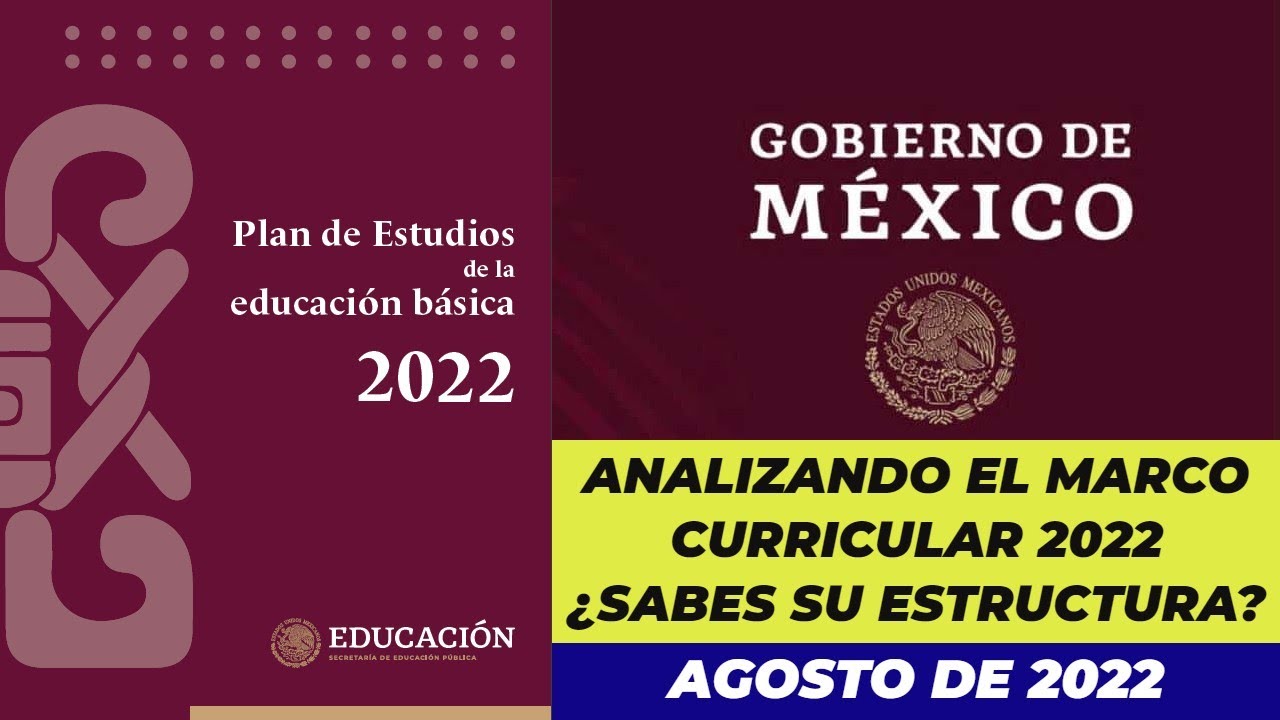 Analizando el plan de estudios (preliminar) 2022. ¿Sabes su estructura?