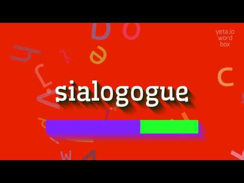 How to say "sialogogue"! (High Quality Voices)