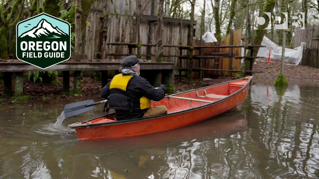 Behind-the-scenes at the Oregon Country Fair | Oregon Field Guide