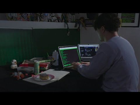 Qui sont ces pirates informatiques néophytes appelés script kiddies ?