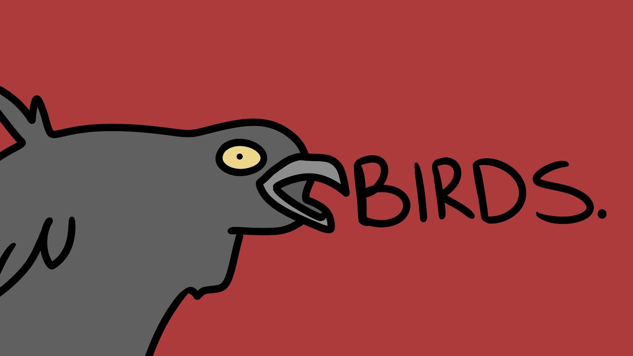 I Hate Birds