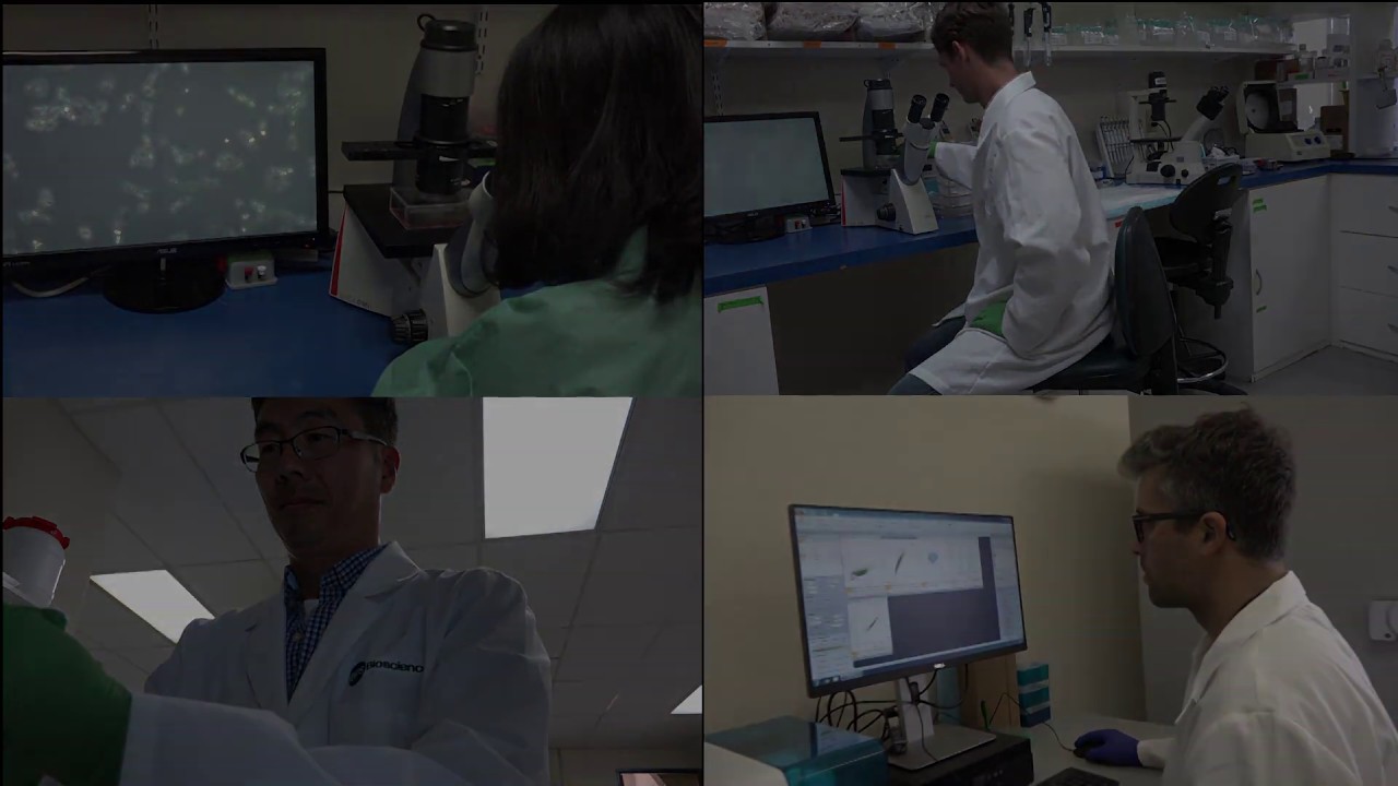 BPS Bioscience: Proteins, Cell Lines, & Assay Kits