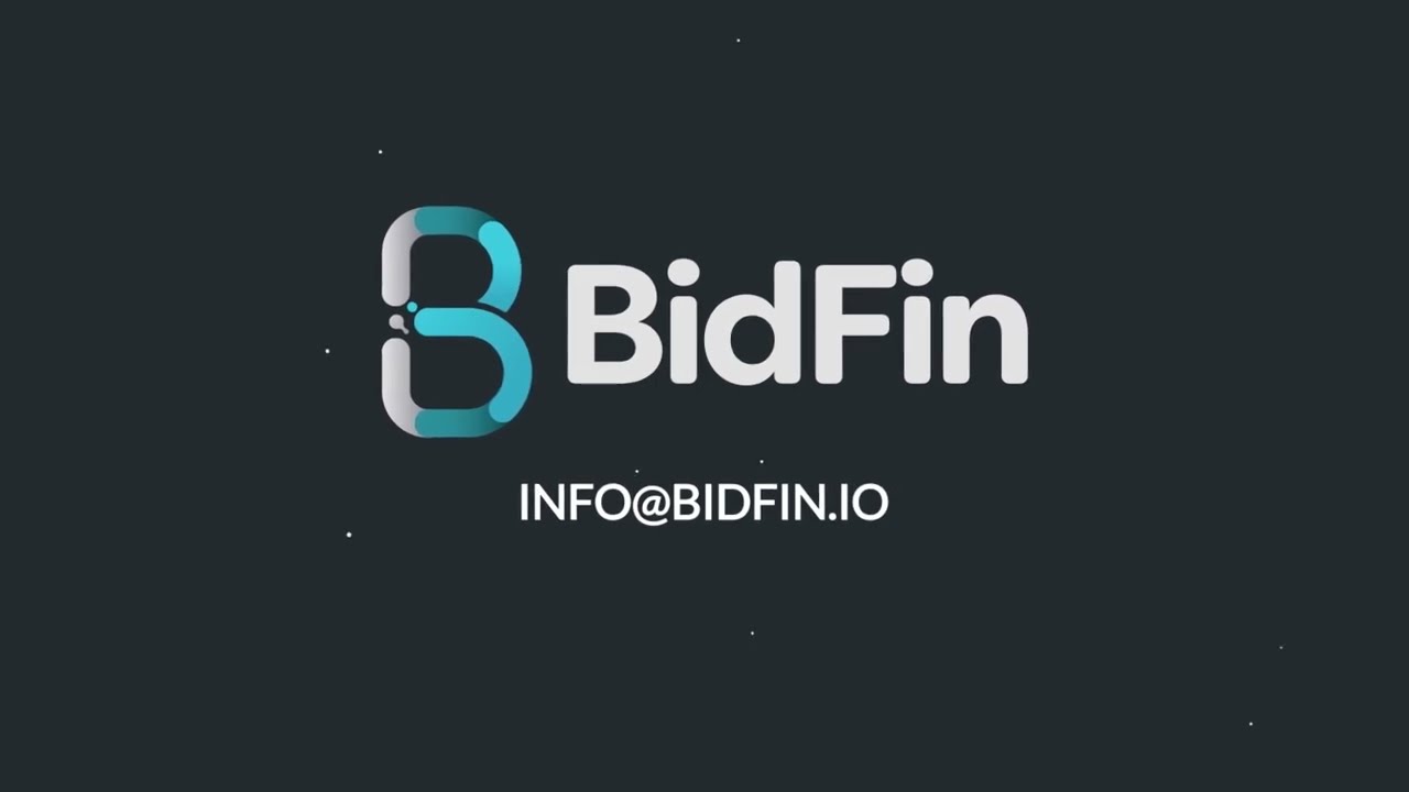 BidFin Explainer Video