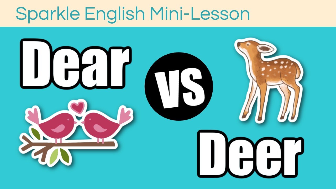Dear OR Deer - What is the difference? | English Homophones and Pronunciation Lesson