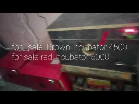 incubator for sale 50 sa 60 egg used 4500)( 5000