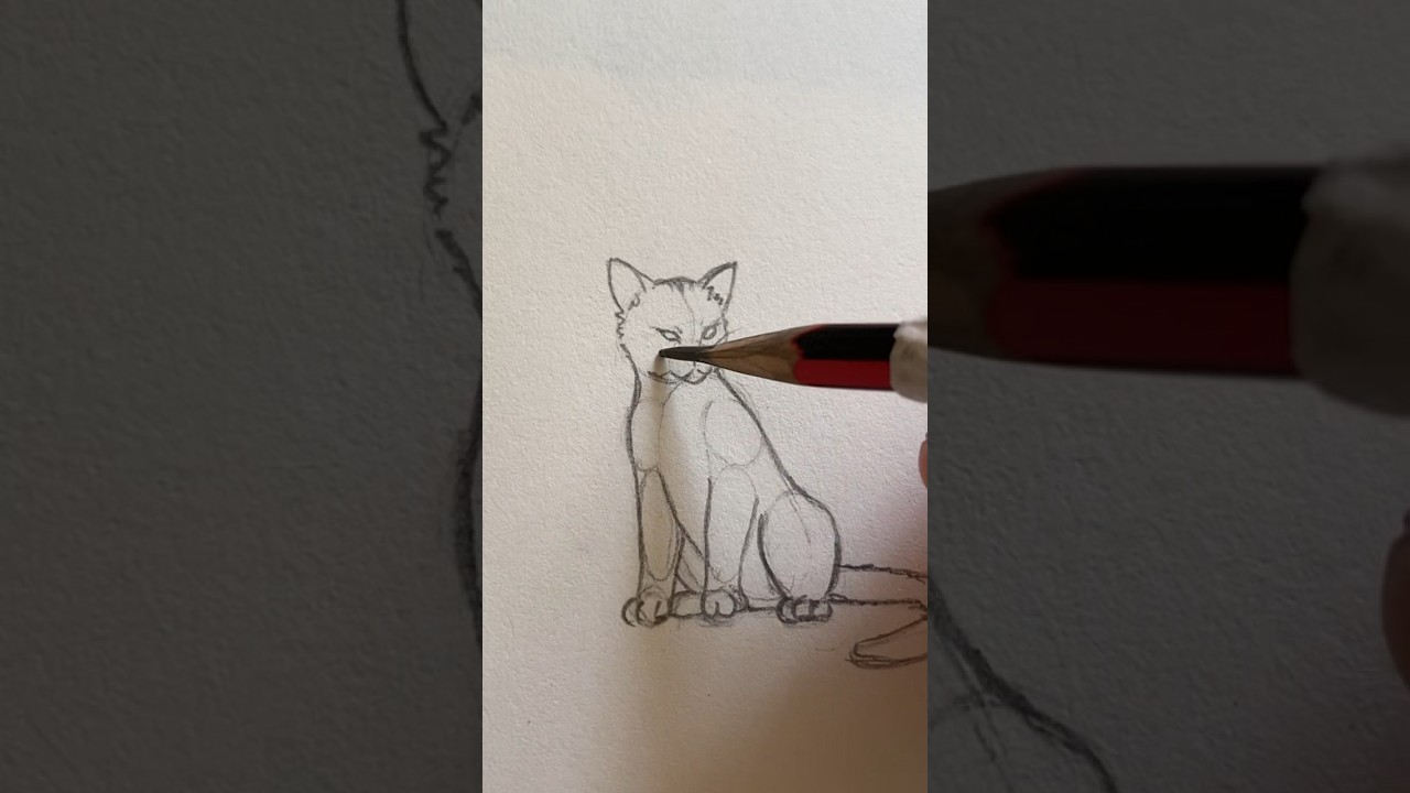 Como dibujar un gato inténtalo #arte #art #dibujo #tutorial #gatos