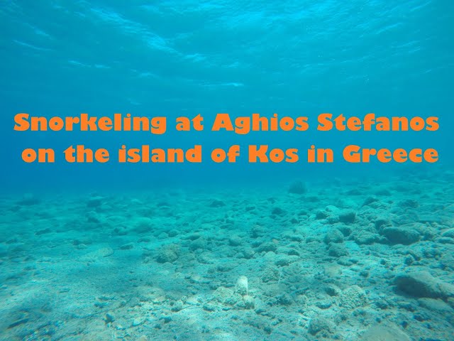 Fauna and flora. Animals and plants of the island of Kos in Greece.