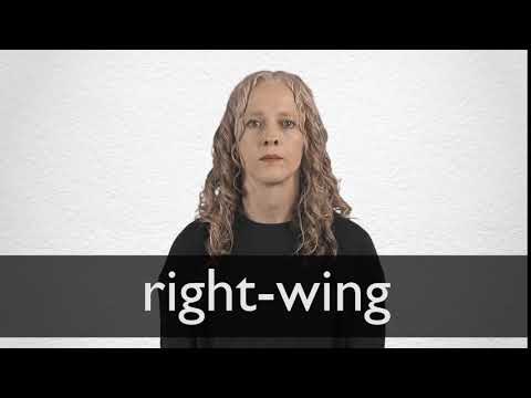 RIGHT-WING definition in American English | Collins English Dictionary