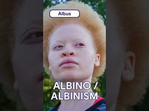 Root Word Of The Day | ALBUS