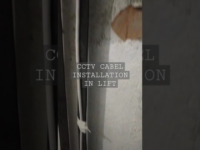 Elevator Cable - Cat 6 Flat Elevator Cable from Ahmedabad