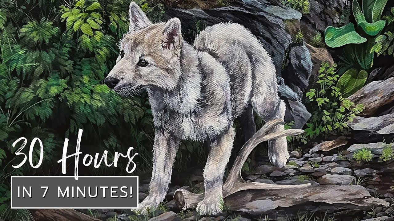 Realistic Wolf Painting in Acrylic // 