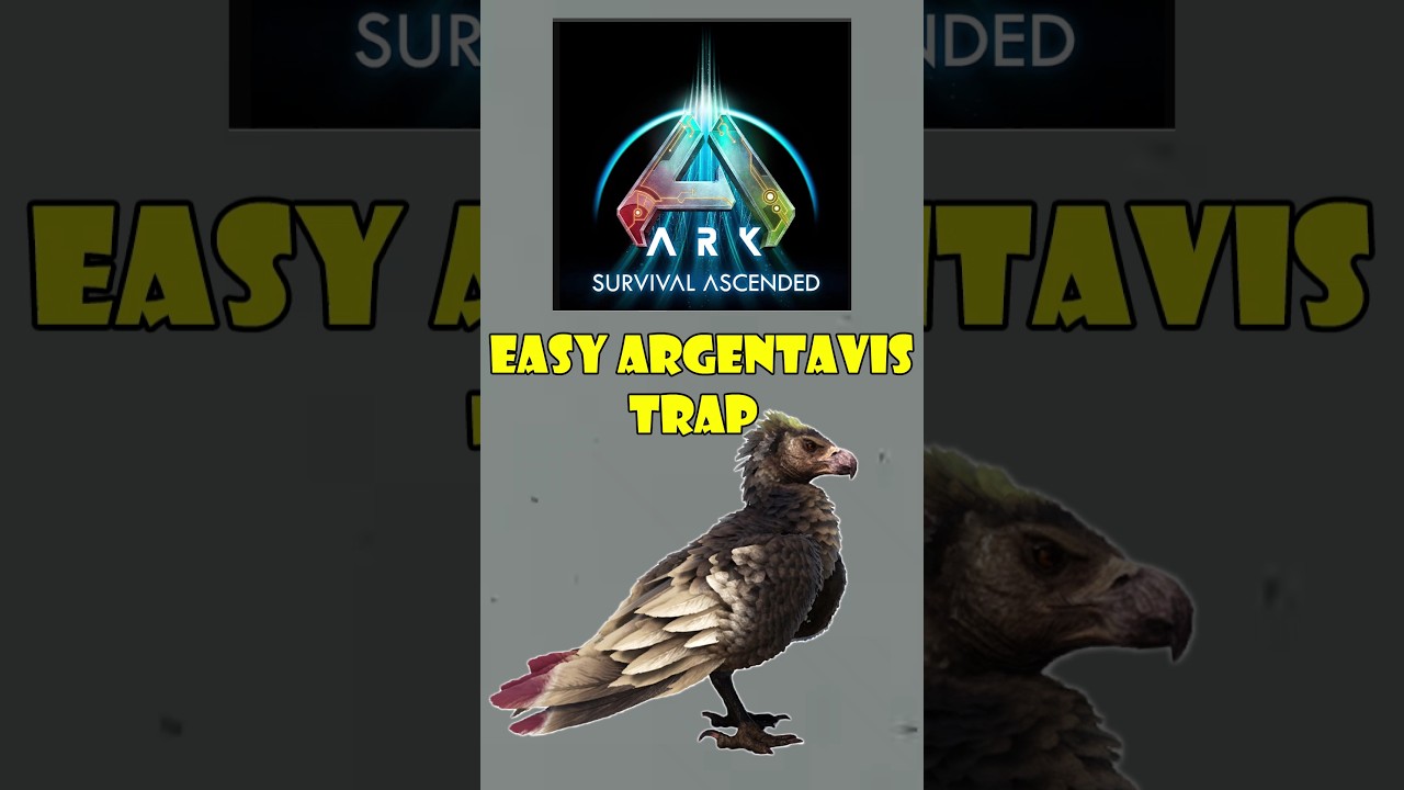 Ark Argy Trap🦅