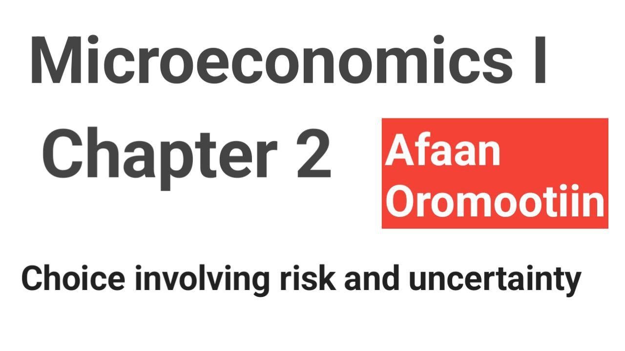 Choice involving risk and uncertainty Microeconomics I Chapter 2