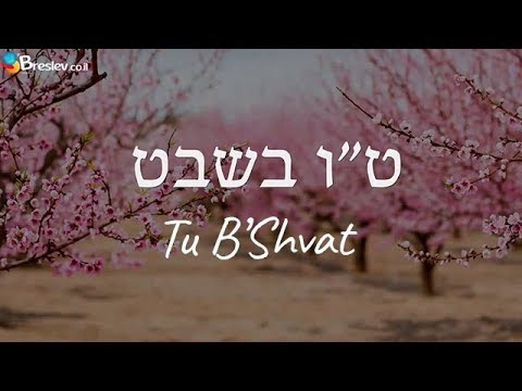 The blessing of Tu B’Shvat