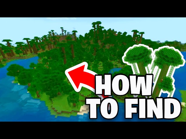 Where to find ferns in Minecraft