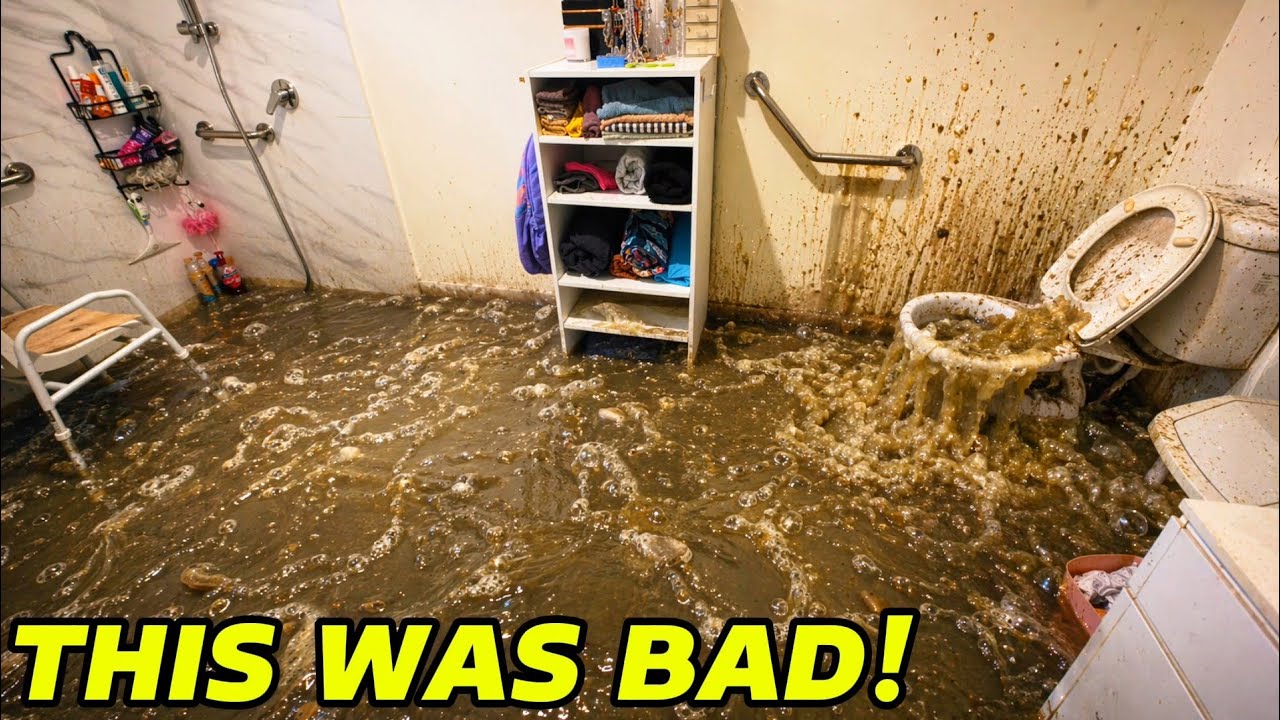 3 PLUMBERS RIPPED HER OFF! Then she called me.