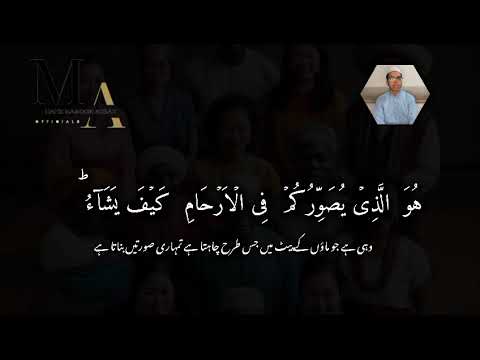 Surah Al Imran The Family of Imran Quran Recitation and Meaning