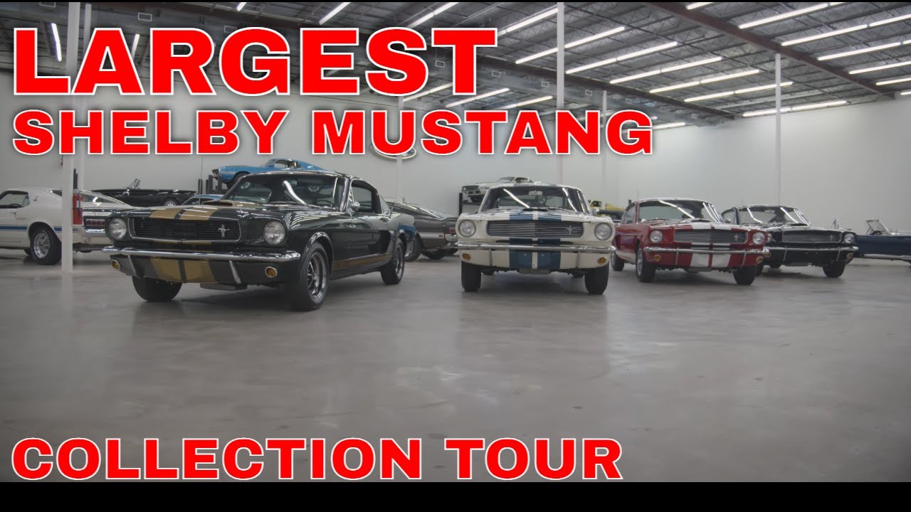 World's Largest Ford and Shelby Collection Includes More Than 200 Cars ...