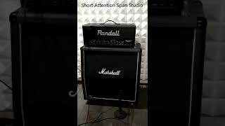 Randall RG1003H Guitar Amplifier Head - What To Know & Where To Buy ...