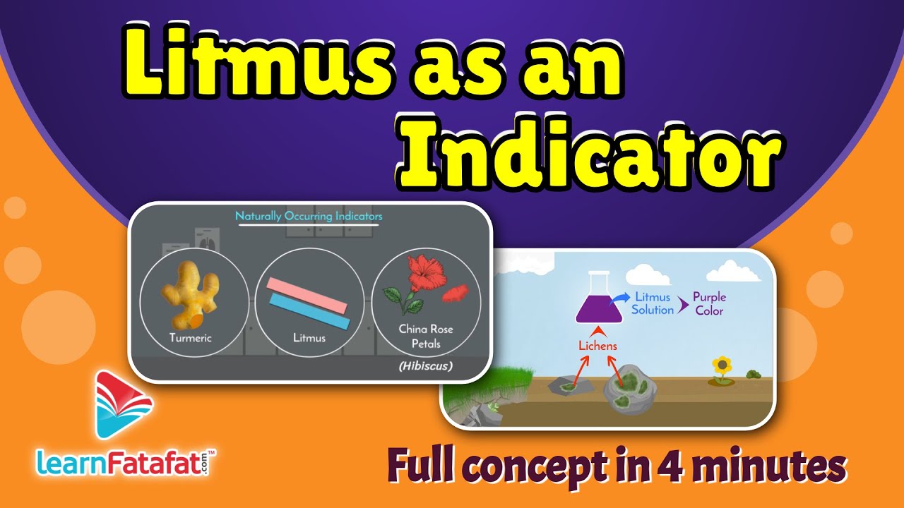 Class 7 Science Acids, Bases and Salts - Litmus as an indicator - LearnFatafat