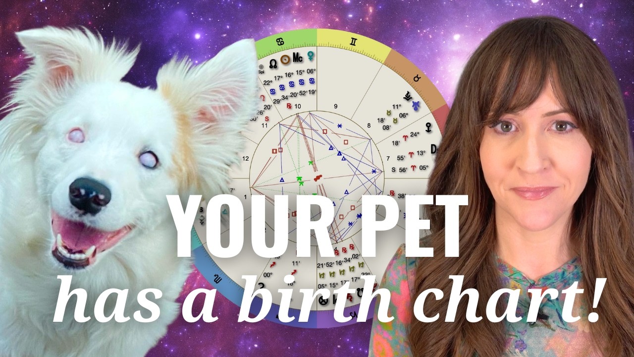 I Read My Dog's Birth Chart! (full astrology reading demonstration)