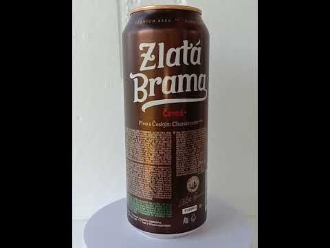 Empty Beer Can ZLATA BRAMA Black Obolon 500 ml. Ukraine 2025 Bottom open!