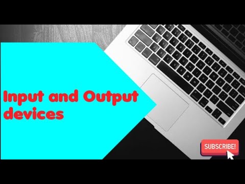 Input and Output Devices for Beginners
